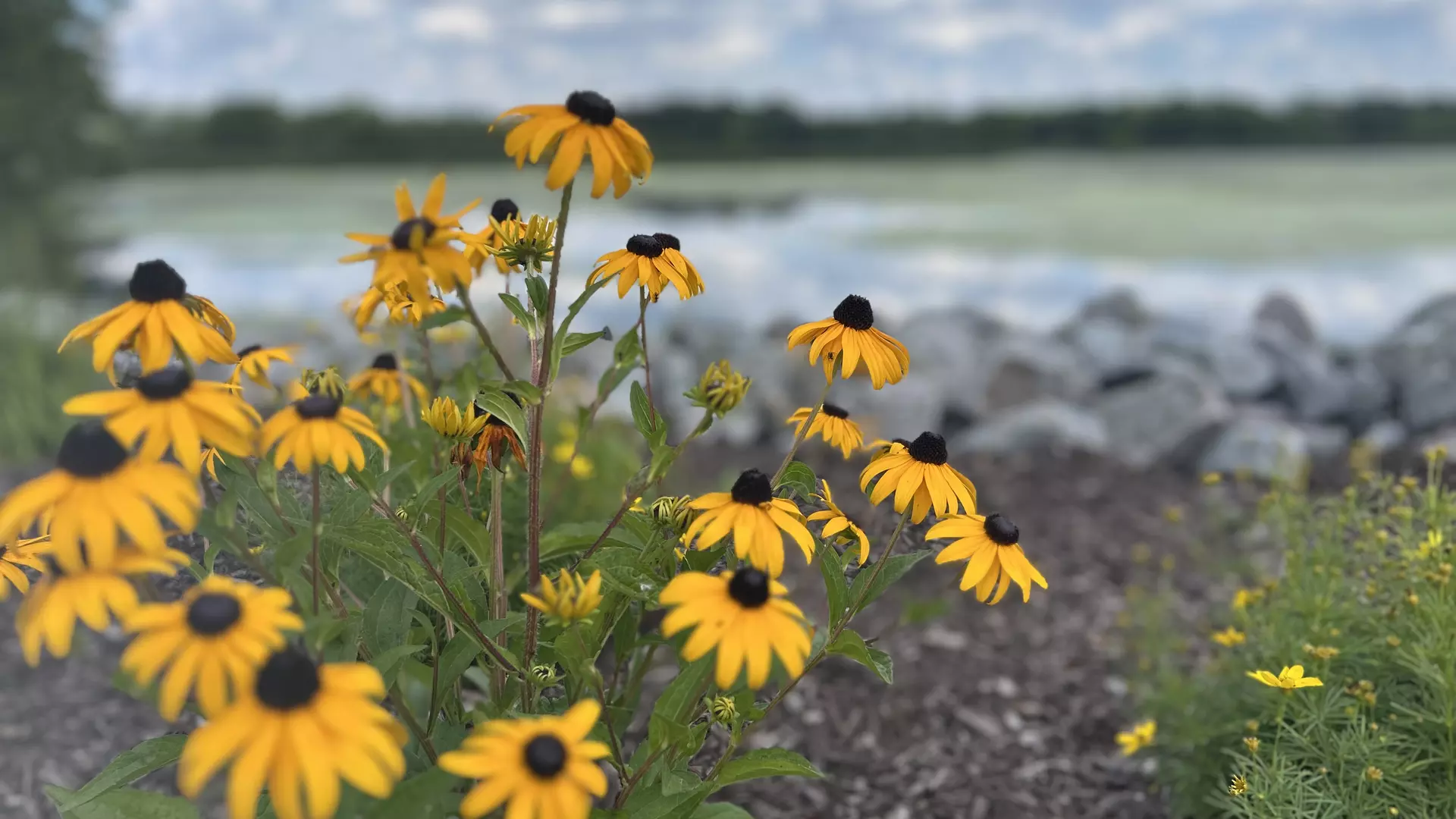 Home Page | Schofield, WI